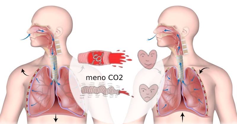 Come respirare meglio per aumentare: energia, prestazioni, circolazione